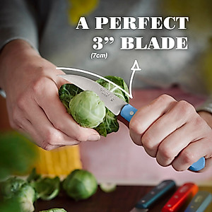 OPINEL Essential Single Kitchen Knife, Cooking Tool Bird's Beak Knife, Veggie Knife, Painted Hornbeam Wood Handles, Made in France (No. 114, Blue)