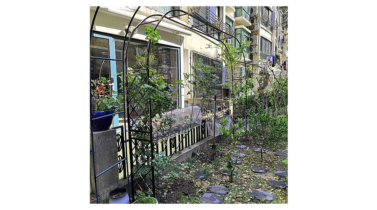 Extra Tall Metal Arch Arbor - Heavy Duty Garden Trellis