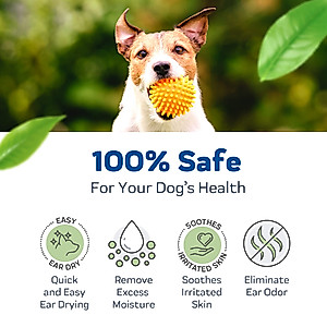 Innovet PurOtic Natural Ear Dryer for Dogs with Silicone Applicator - 4 oz Bottle - 100% Made in USA - Ear Dryer for Dogs