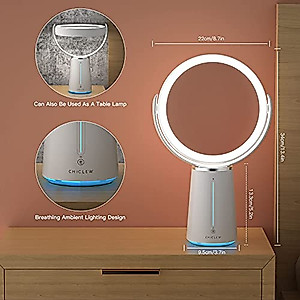 CHICLEW Lighted Makeup Mirror,Rechargeable Vanity Mirror with Lights Magnifying Mirror 10X / 1X,360°Rotatable Dimmable Cosmetic Mirror with Smart Touch Brightness Adjustable(0-1100Lux)