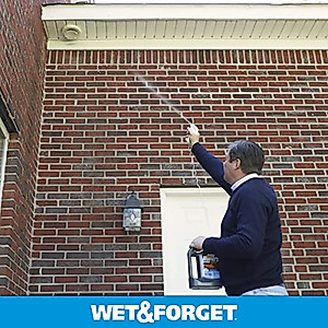 Wet & Forget 803064 Miss Muffet's Revenge Indoor and Outdoor Spider Killer with Attached Sprayer, 64 Fluid Ounces, Ready to Use