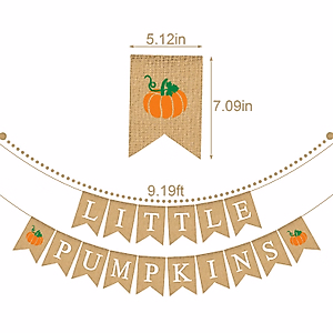 Jute Burlap Little Pumpkins Banner Fall Twins Baby Shower Gender Reveal Party Garland Decoration