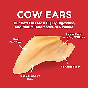 Barkworthies All Natural Whole Cow Ears for Dogs (12 Pack) - Healthy Dog Chews - Free Range Grass Fed 100% Beef - Single Ingredient Premium Dog Treat - Promotes Dental Health