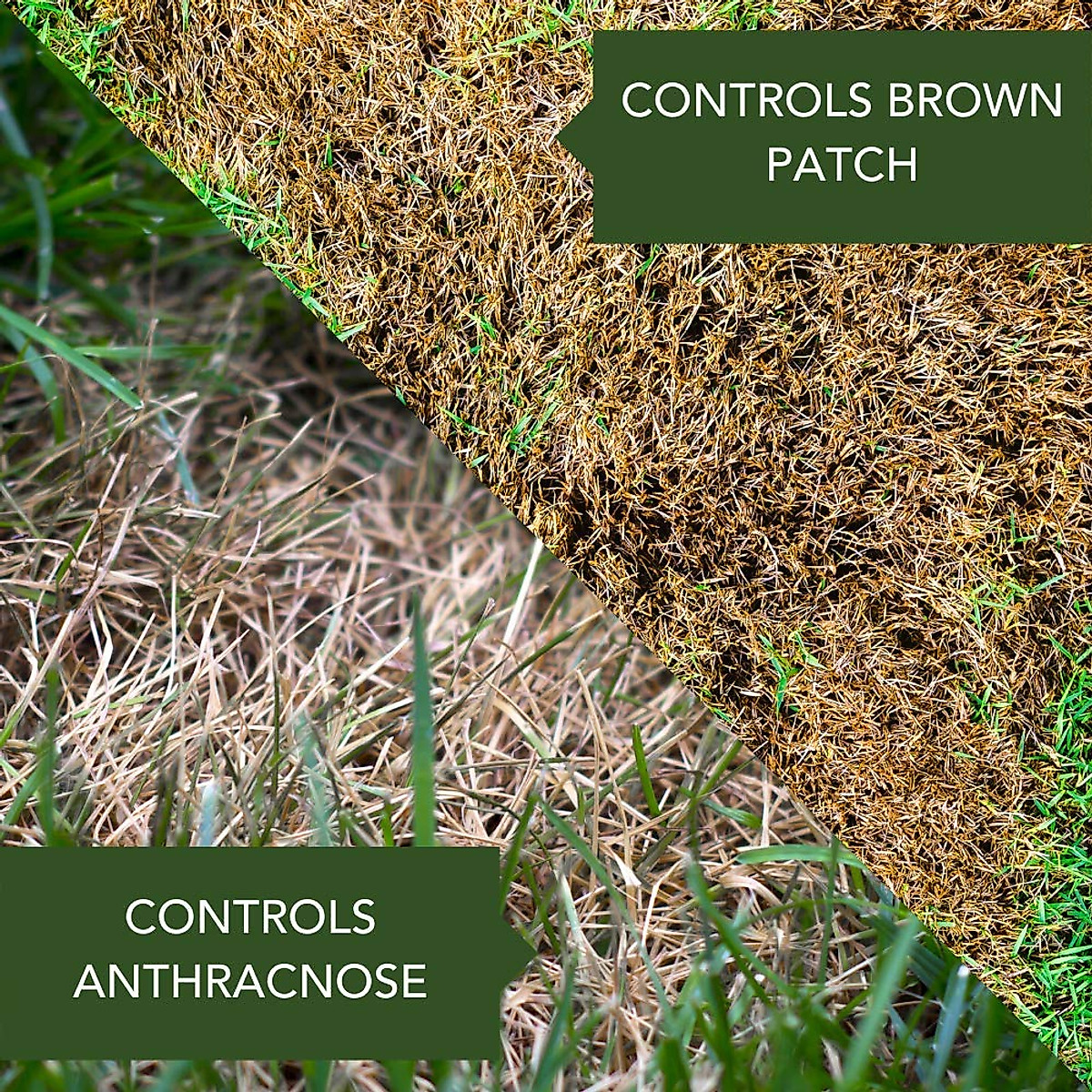 BioAdvanced Fungus Control for Lawns, Granules, 10 lb