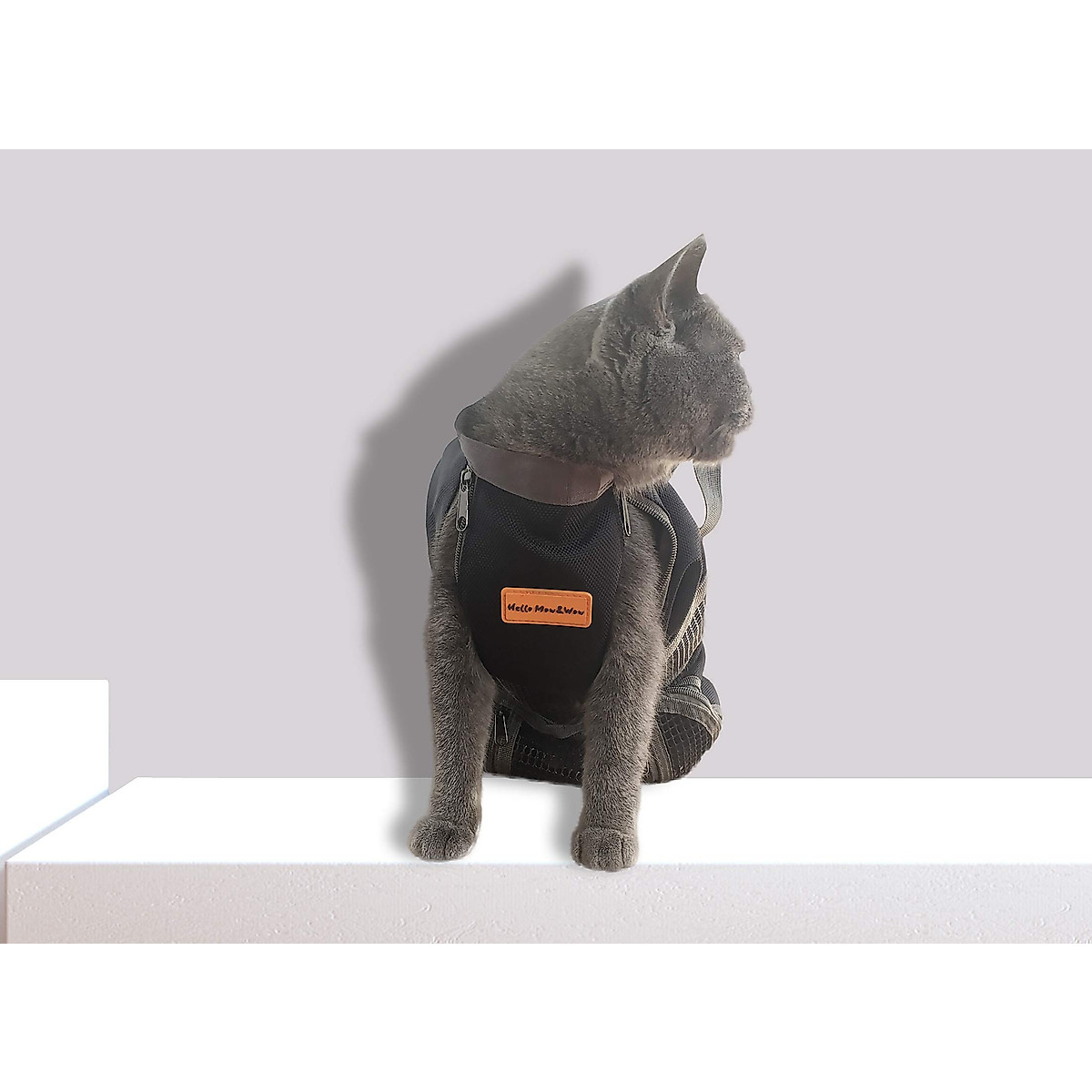 Cinf Cat Nail Clipping Cleaning Grooming Restraint Bag No Scratching Biting for Bathing Nail Trimming Injecting Examining