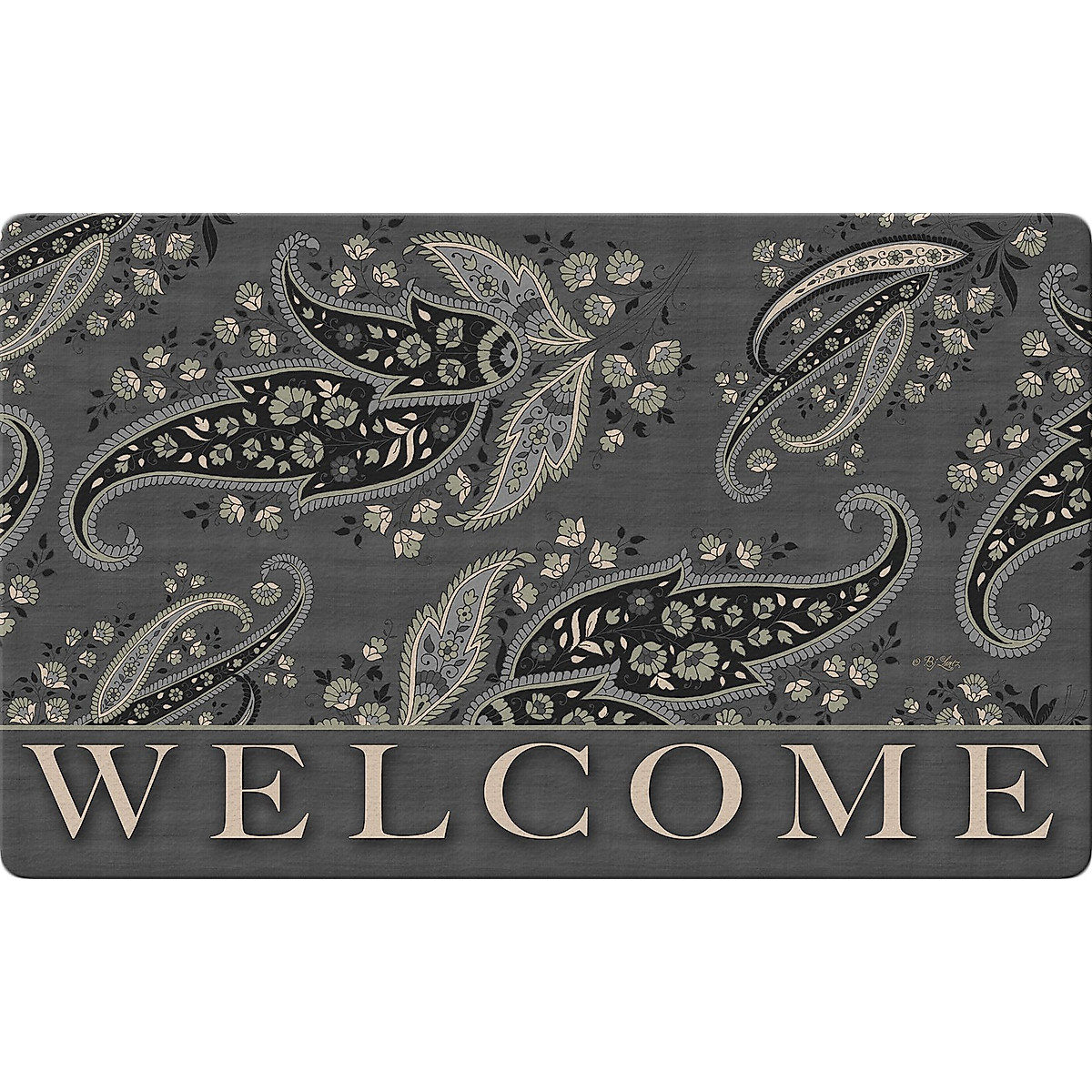 Toland Home Garden 800381 Charcoal Stained Paisley- Welcome French Paisley Door Mat 18x30 Inch Outdoor Doormat for Entryway Indoor Entrance