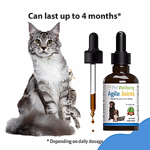 Pet Wellbeing Agile Joints for Cats - Vet-Formulated - Joint Health, Mobility, Ease of Movement - Natural Herbal Supplement 2 oz (59 ml)