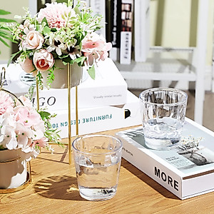 Potchen Set of 10 Plastic Drinking Glasses 10 Oz Unbreakable Clear Tumblers Dishwasher Safe Acrylic Juice Cups Transparent Reusable Plastic Water Glasses Stackable for Kids Home Picnic Party