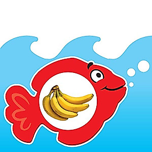 Super Duper Publications | Classifying Photo Fish- Transportation, Clothing, Animals, Food, and Around The Home Vocabulary Magnetic Game | Educational Materials for Children