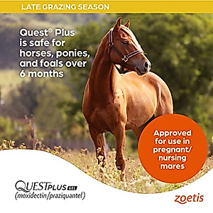Quest Plus Gel Moxidectin/ Praziquantel Horse Dewormer, Late Grazing Season recommended for Horses and Ponies 6 months and older, 0.5oz Sure-Dial Syringe