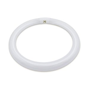 lumenivo FC16T9 40W Circline Fluorescent Bulb Replacement 16 Inches - T9 Bulb with 4-Pin Base (G10Q-4) – 6500K Daylight - 1 Pack