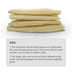 Natural Organic Loofah Sponges Large Exfoliating Shower Bath Loofah Luffa Loofa Body Scrubbers Sponges for SPA Beauty Bath and Radiant Skin, Pack of 4