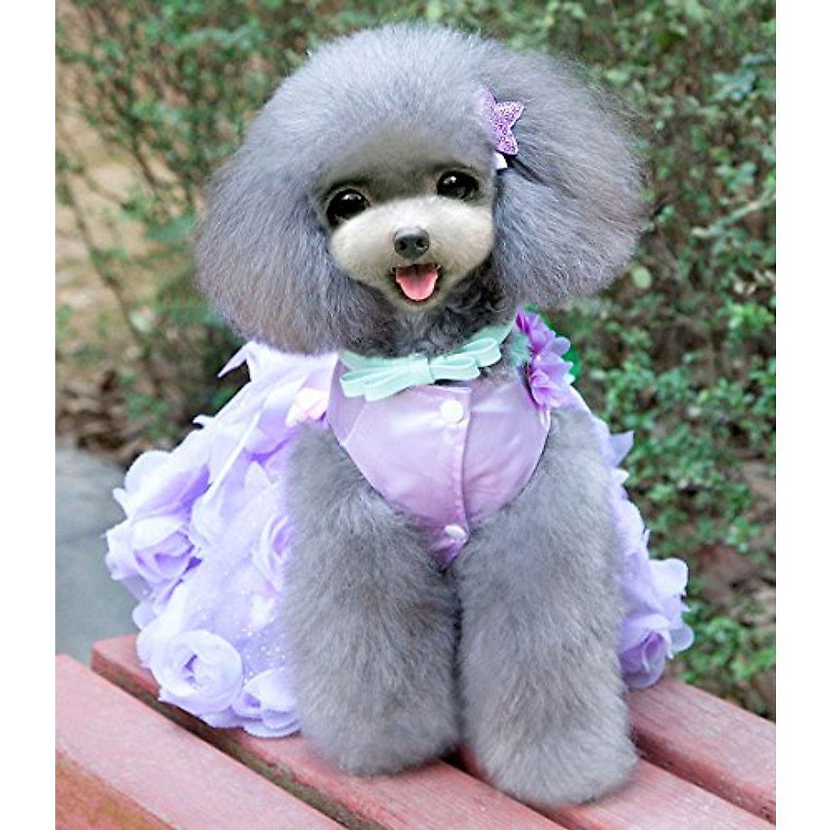 SMALLLEE_LUCKY_STORE Pet Small Dog Wedding Dress with Bowknot Birthday Party Costume Satin Rose Pearls Girl Formal Dress Cat Tutu Purple Violet XXL