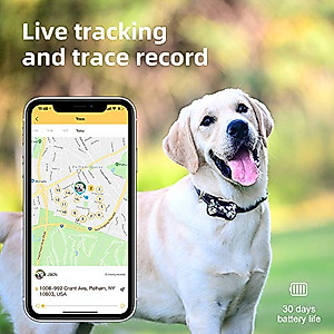 PETBIZ G20 GPS Pet Tracker, 30 Days Battery Life, IPX7 Waterproof Light Weight Compact GPS Tracker for Cat and Dog (Ice camo)