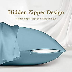 INSSL Silk Pillowcase for Women, Mulberry Silk Pillowcase for Hair and Skin and Stay Comfortable and Breathable During Sleep(Blue Gray,Standard)