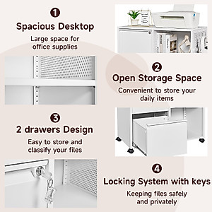 AFAIF Lateral File Cabinet, 2 Drawer File Cabinet with Lock, Printer Stand with Storage, Metal Mobile Filing Cabinet Home Office Organization Furniture for Letter/A4 Size Files