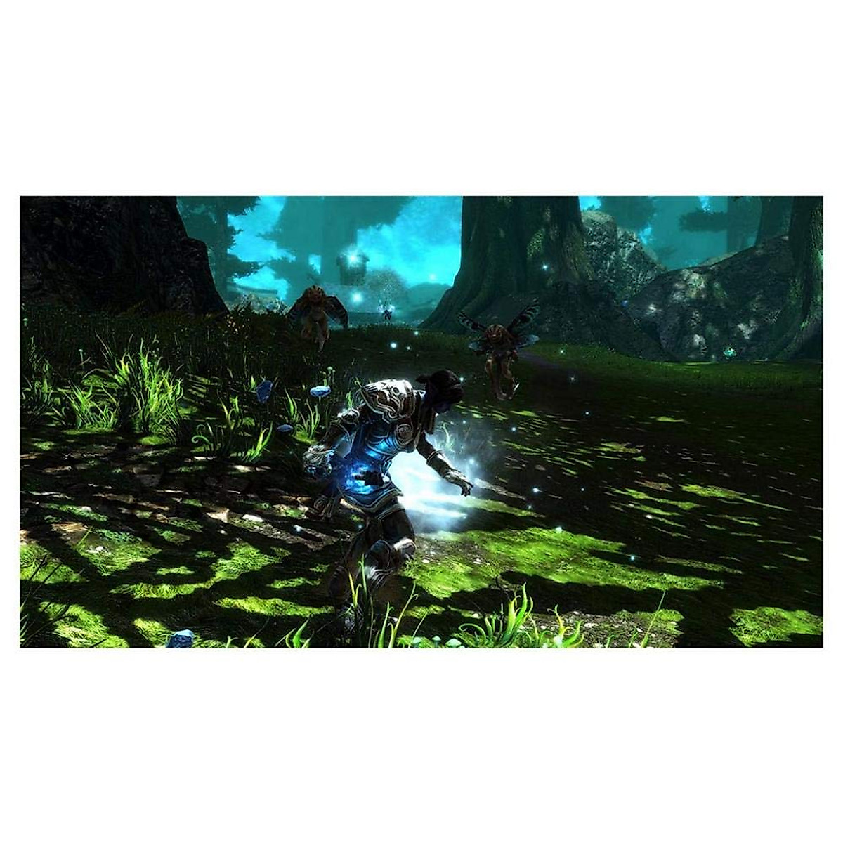 Kingdoms of Amalur Re-Reckoning - PlayStation 4