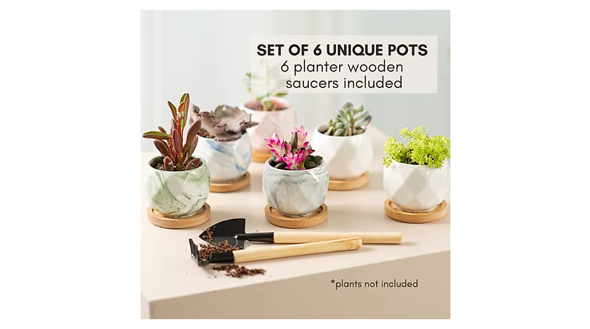 ilohaus Succulent Pots Set of 6 - Cute Indoor Planters