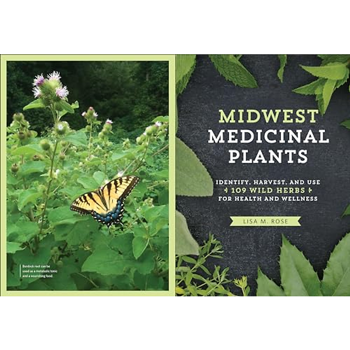 Midwest Medicinal Plants: Identify, Harvest, and Use 109 Wild Herbs for Health and Wellness (Medicinal Plants Series)