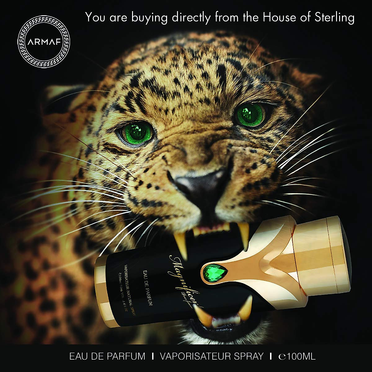 Armaf Le Femme For Women 4-piece Set, (3.4 Ounce Eau de Parfum + 3.4 Ounce Body Lotion + 1.7 Ounce Body Spray + 8.4 Ounce Body Mist)