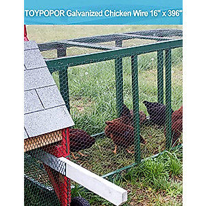 TOYPOPOR Chicken Wire 16'' x 396''(40cm x 10m), Outdoor Anti-Rust Hexagonal Galvanized Chicken Wire Mesh Fencing to Protect Gardening Plants Vegetables Flowers Fruits From Dogs Rabbits Squirrels, 32ft