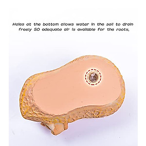 Cute Little Squirrel Flowerpot with Drainer Garden Flowerpot Resin Succulent Potted Bonsai Plant Stand Home Desk Mini Ornaments Cartoon Ornaments Does Not Contain Plants