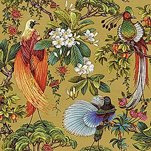 Holden Outside in Songbird Bird Theme Oriental Tropical Wallpaper Feature Wall Bedroom Livingroom Plum Deep Purple 13150