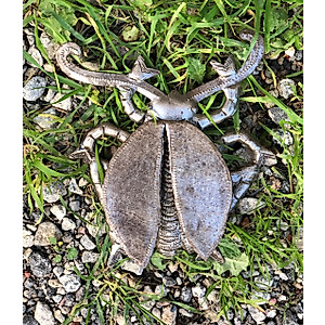 Metal Garden Beetle, Indoor and Outdoor Bugs, Handmade in Haiti, Backyard Fence Decor 5.5 in. x 6 in.