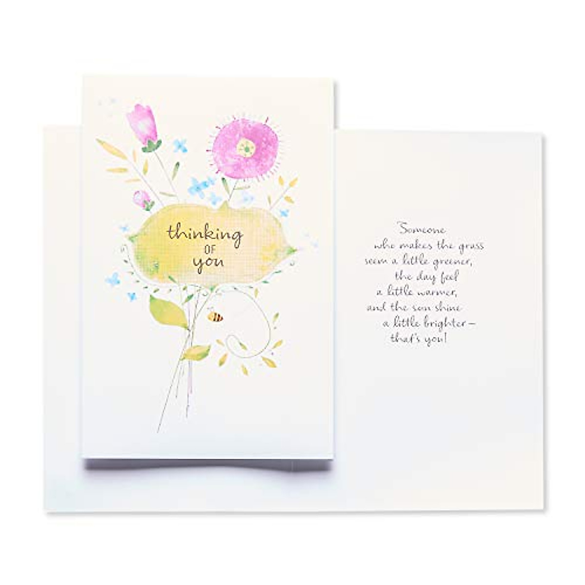 American Greetings Friendship Cards, Assorted (12-Count)