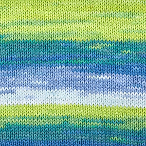 Premier Yarns Hipster Cotton Yarn, Ideal Yarn for Crocheting and Knitting, 100% Cotton and Lightweight Yarn, Machine Wash, Rainbow Rollerskates, 3.5 oz, 229 yards