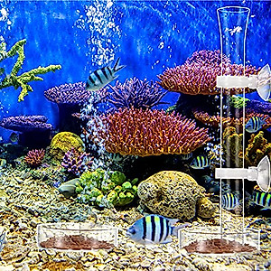 3 Pieces Shrimp Feeding Tube and Dish Set, Include Glass Shrimp Feeding Tube Shrimp Feeder Tube and 2 Aquarium Shrimp Feeding Dish Bowl Fish Tank Feeding Supplies