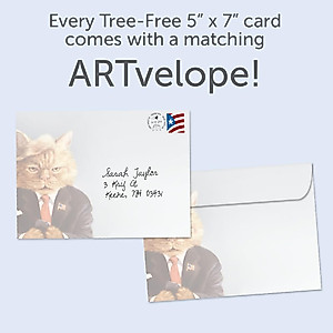 Tree-Free Greetings - Humorous Birthday Cards for Husband - Artful Designs - 1 Card + Matching Envelopes - Made in USA - 100% Recycled Paper - 5"x7" - Trump Cat (GO61448)