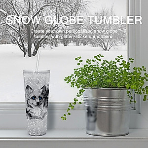 sweet grain Snow Globe Tumblers(4 Pack) - 24oz Double Wall Acrylic Tumblers for Snow Globe Cups with Pre Drilled Hole, Lids, Straws and Hole Stopper, Clear Snowglobe Tumblers
