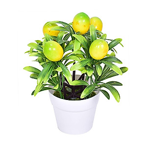 RESOYE Artificial Lemon Tree Potted, Simulation Lemon Branch with Green Leaves, Yellow Fake Small Potted Lemon Decor Fruit Tree for Kitchen Home Garden Farmhouse, 6.3In(210316XU02-2-10455-1042225761)