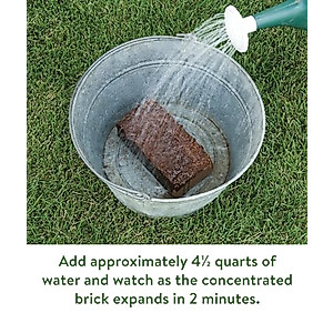 Burpee 8 qt Organic Coir Compressed Seed Starting Mix 1-Brick