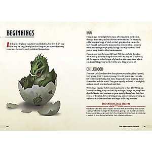 Dragons & Treasures (Dungeons & Dragons): A Young Adventurer's Guide (Dungeons & Dragons Young Adventurer's Guides)