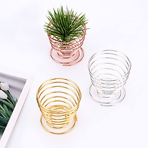 6pcs/Pack Air Plant Holders,Wire Metal Plants Stand Planter Shelves,Airplant Container Tillandsia Holder,Geometric Tabletop Decor for Home Office(Rose Gold+Gold+Silver)