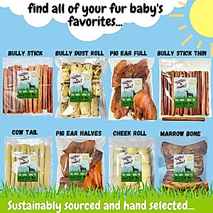 BULLYSTICKS & MORE 6 Inch Bully Sticks (Regular - 16 Pack) | Bully Sticks for Medium Dogs | 100% Grass Fed Beef | Dog Parents Choice Bully Stick Dog Chews | No Hide Bully Bones