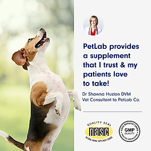 PetLab Co. Itch Relief Chews - Support for Dry, Occasionally Itchy Skin & Coats - Formulated with Turmeric, Omega 3 & 6, Honey - Packaging May Vary