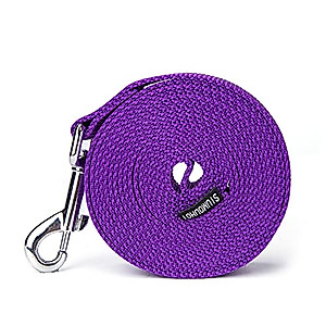 Siumouhoi Strong Durable Nylon Dog Training Leash, 1 Inch Wide Traction Rope, 6 ft 10ft 15ft Long, for Small and Medium Dog (Purple, 10 Feet)