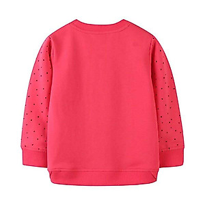 WRHPZW Toddler Baby Girls Long Sleeve Bunny Print Cotton Soft Pullover T-Shirt Tops Clothes size 6