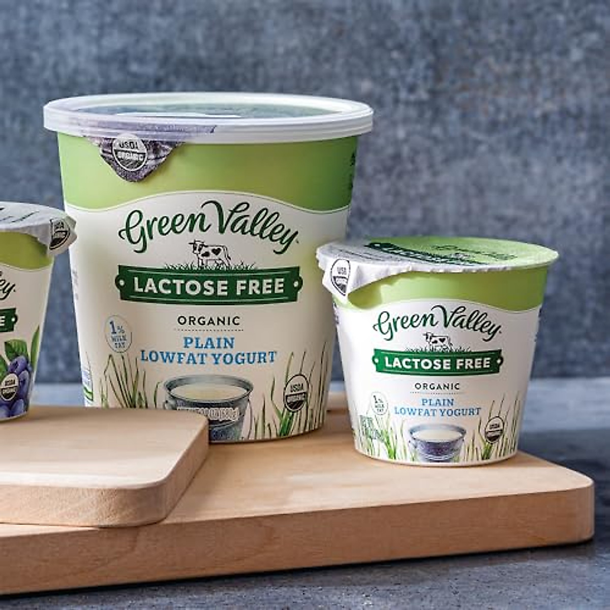 Green Valley Lactose Free Organic Lowfat Plain Yogurt, 24 Ounce