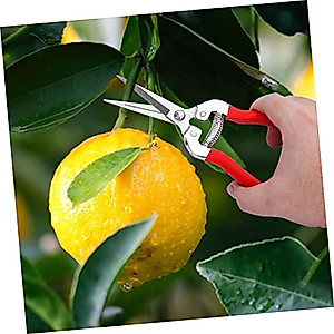 TEHAUX 2pcs Gardening Shears Multipurpose Tool Left Right Hand Scissors Pruning Shears Pruning Secateurs Scisors Tools Flowers Plants Grafting Tool Fruit Tree Clippers Stainless Steel
