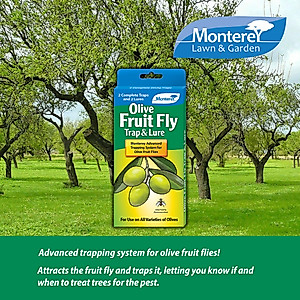 Monterey LG8700 Olive Fruit Fly Trap and Lure
