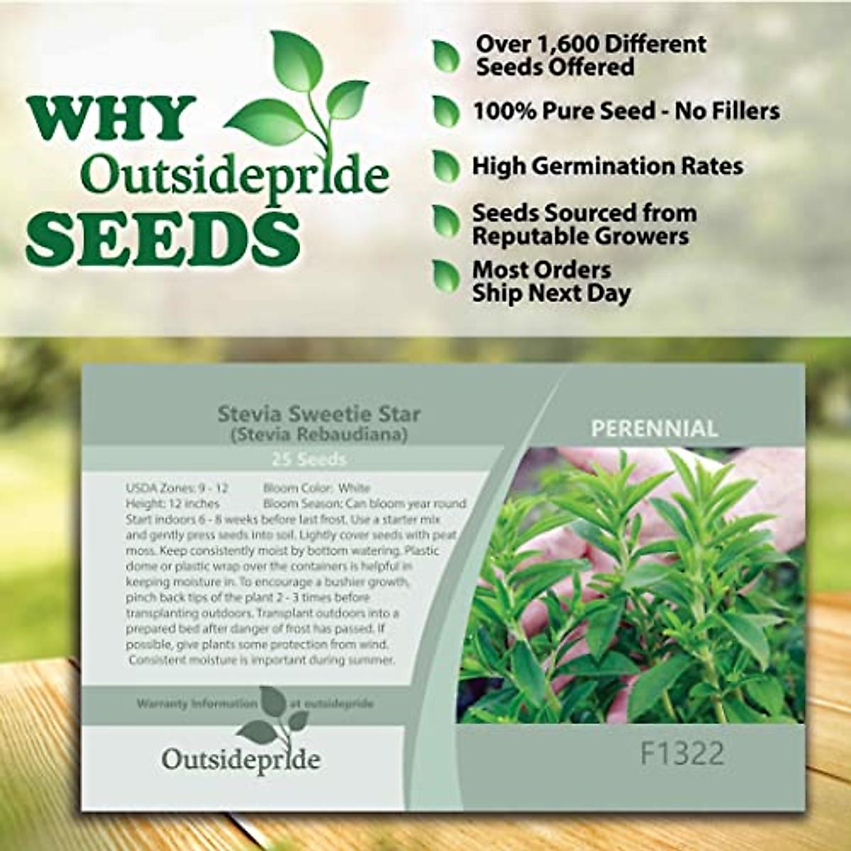 Outsidepride Perennial Stevia Sweetie Star Natural Herb Garden Plant Sugar Substitute & Sweetener Alternative - 50 Seeds