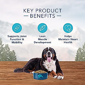 Blue Buffalo Wilderness High Protein, Natural Adult Large Breed Healthy Weight Dry Dog Food, Chicken 24-lb