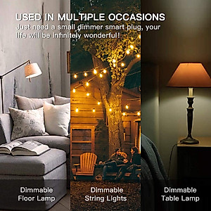 TREATLIFE Smart Dimmer Plug Outdoor Smart Plug Works with Alexa and Google Home, Light Dimmer APP Remote Control, Max Power 400W, IP44 Waterproof for Dimmable Outdoor Lights, Floor Lamp, Table Lamp