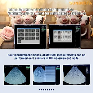 SUNBESTA M10 Veterinary Ultrasound Machine for Pregnancy, at Home Ultrasound with 3.5 MHz Probe for Sheep, Goats, Pigs and Sows pregnancies