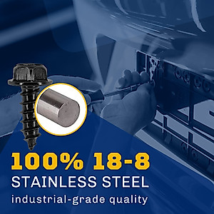 Black License Plate Screws, Rustproof 18-8 Stainless Steel, Black Oxide Finish Applied in The USA by Makers Bolt (Pack of 4)