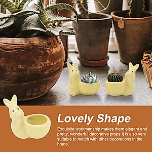 PRETYZOOM 2PCS Flowerpot Easter Planter pots Decorative Pot Ceramic Pot Ceramic Succulent Pot Easter Plant Pot Mini Planter Easter Bunny Figure Succulent Flower Pot Animal Ceramics Bracket